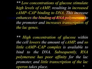 gene regulation and recombinant DNA.ppt