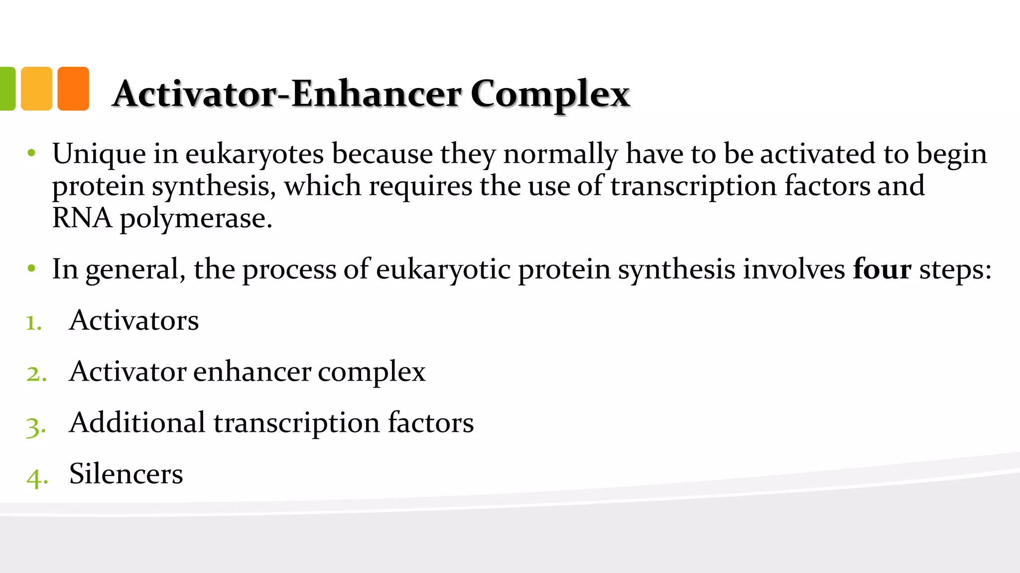 Gene regulation in eukaryotes | PPSX