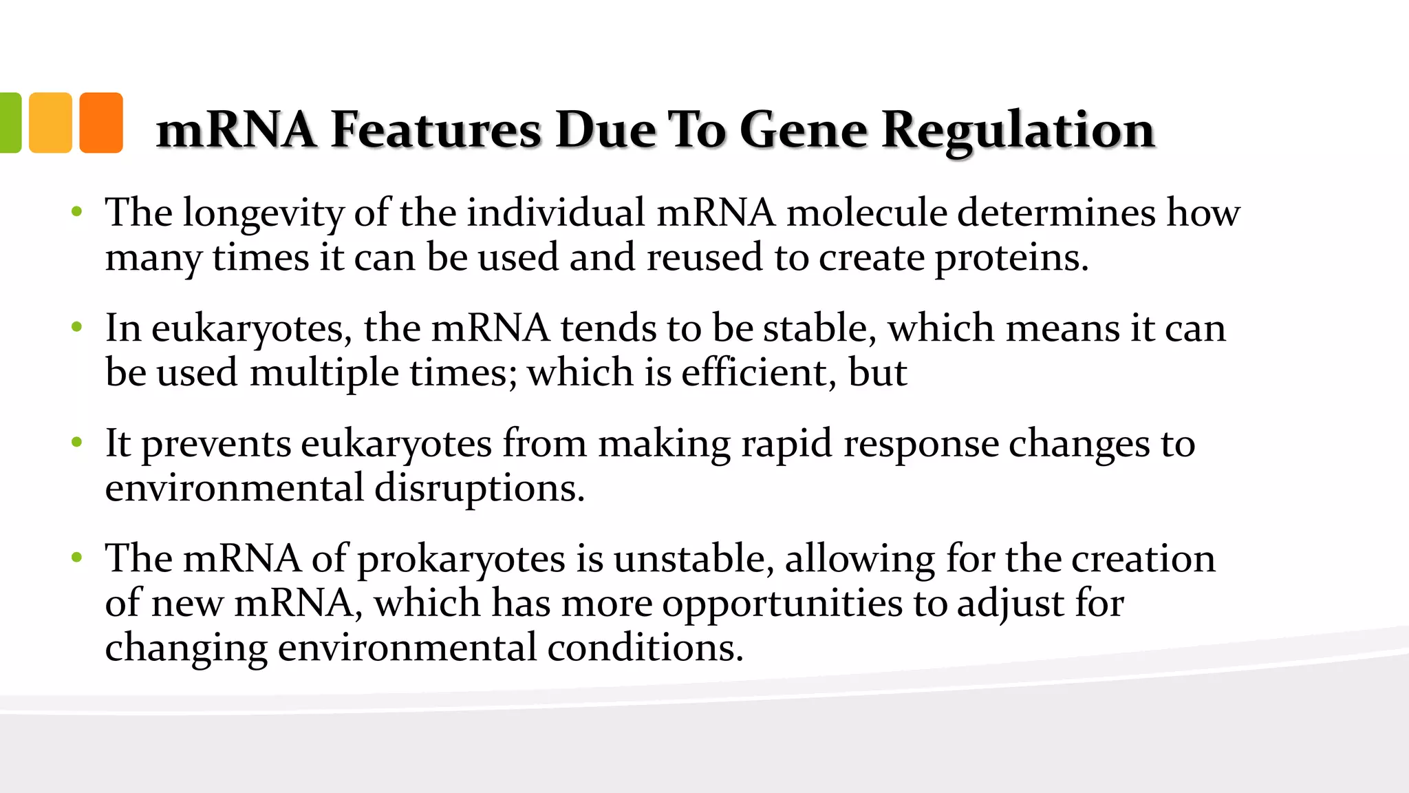 Gene regulation in eukaryotes | PPSX