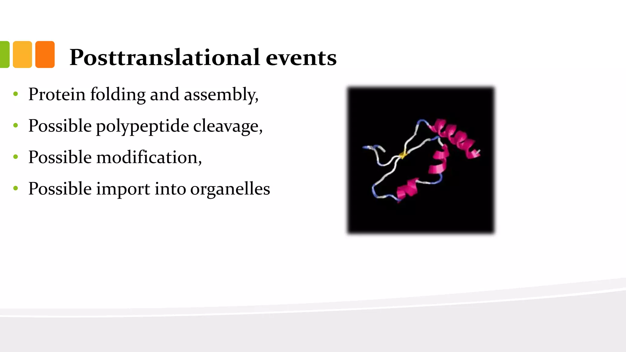 Gene regulation in eukaryotes | PPSX