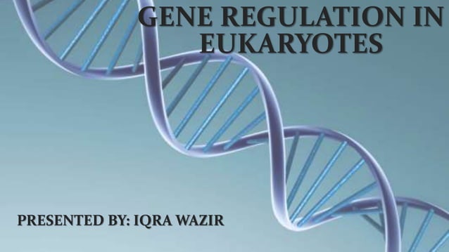 Gene regulation in eukaryotes | PPSX