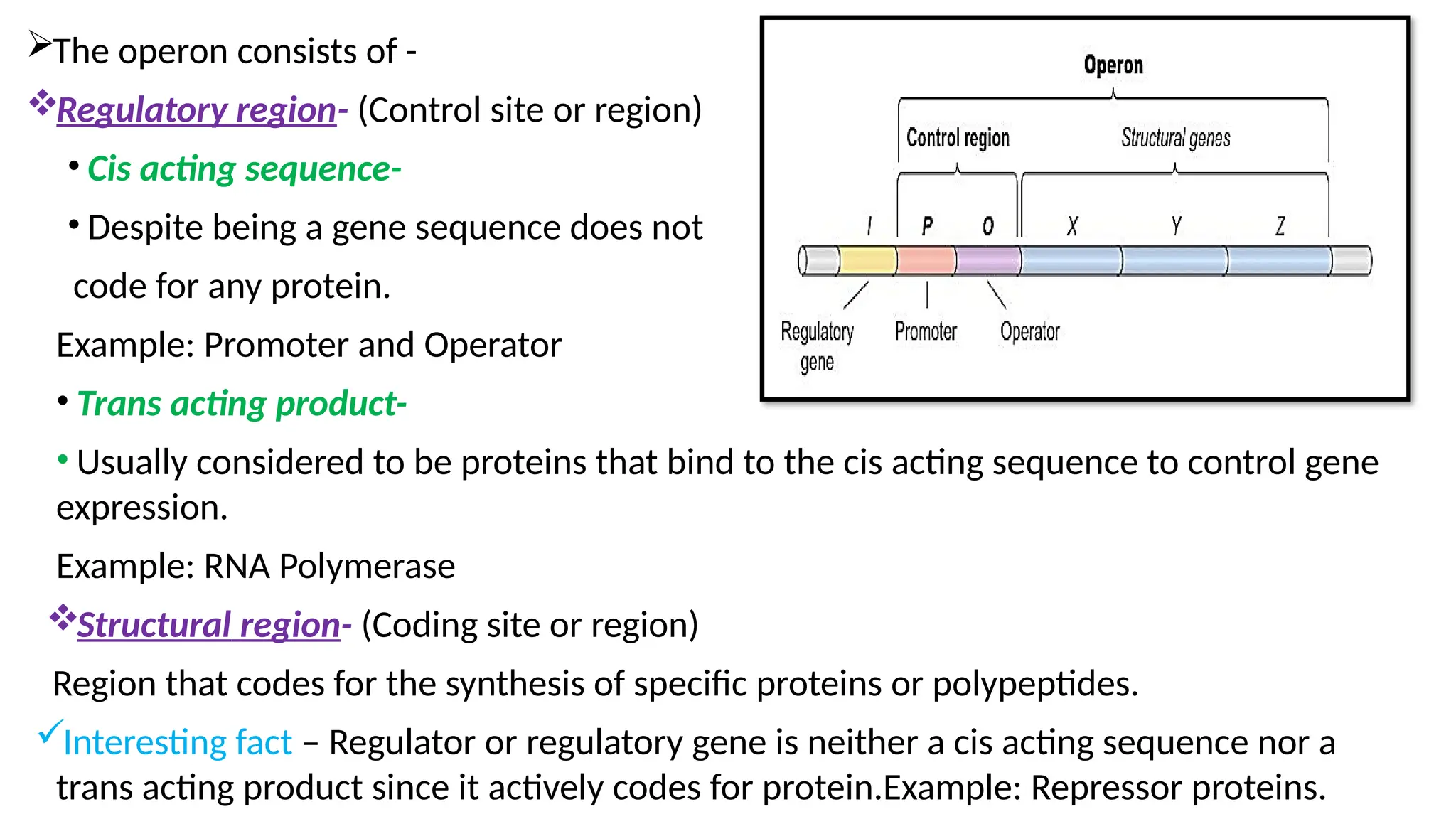 GENE REGULATION IN PROKARYOTE ......pptx