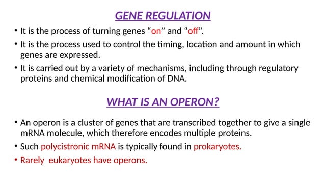 GENE REGULATION IN PROKARYOTE ......pptx | Chemistry | Science