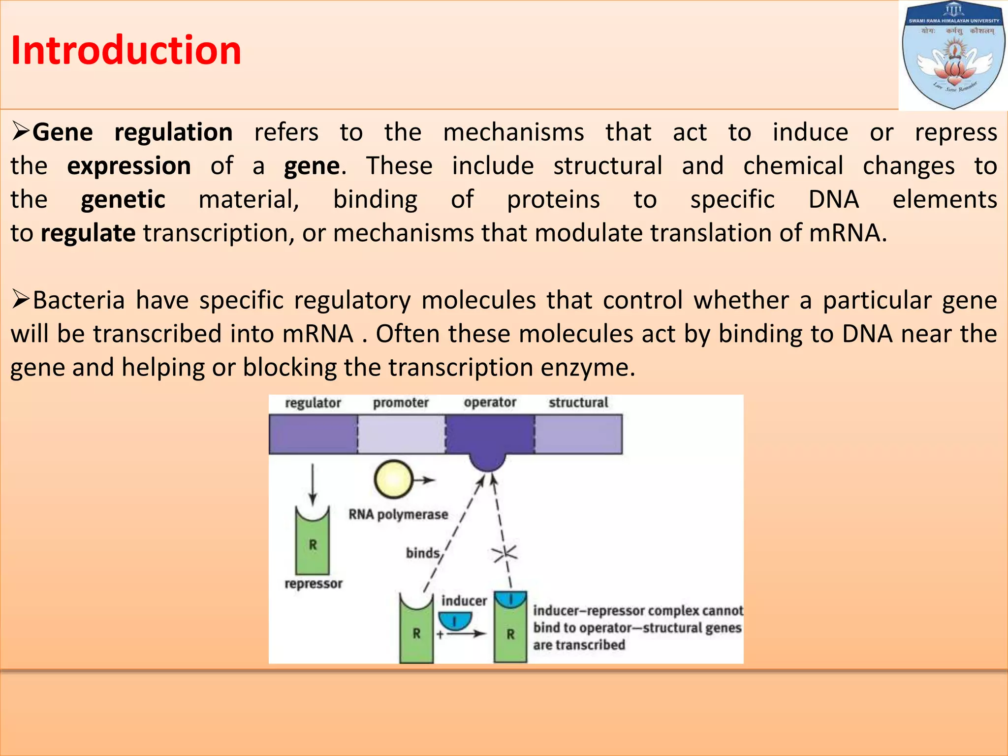 Gene regulation in prokaryotes | PPTX