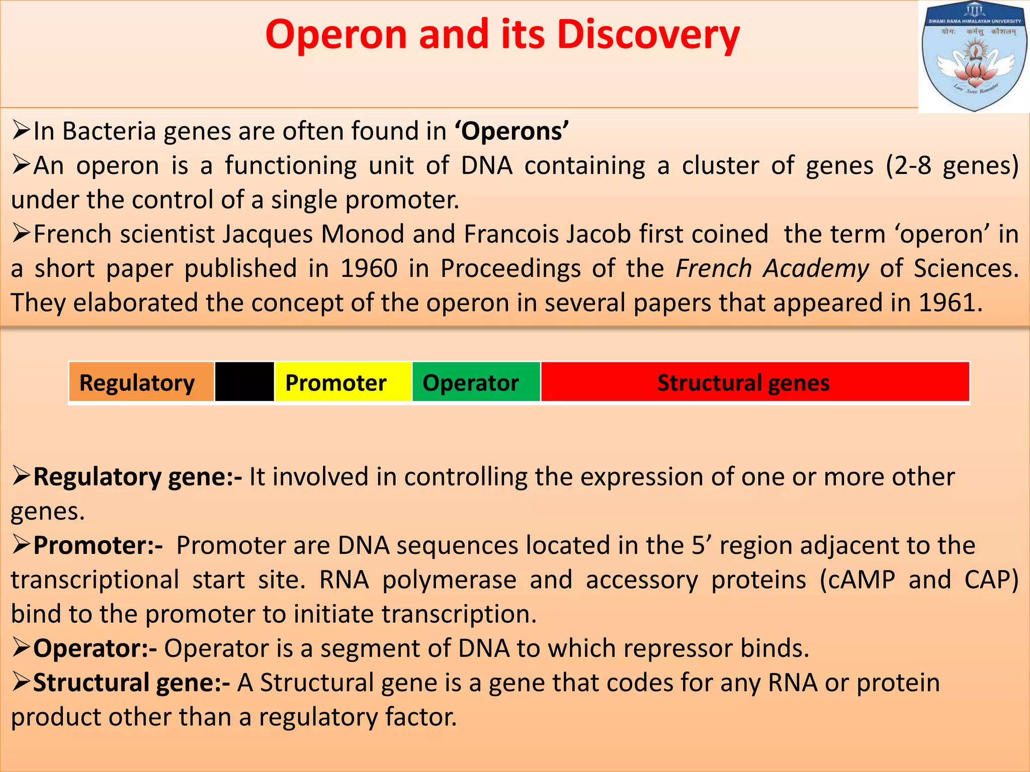 Gene Regulation In Prokaryotes Pptx Chemistry Science