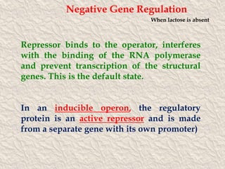 Gene regulation in prokaryotes | PPTX