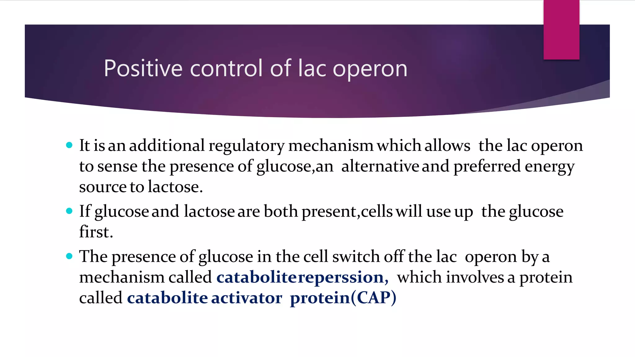 Gene regulation in prokaryotes | PPTX