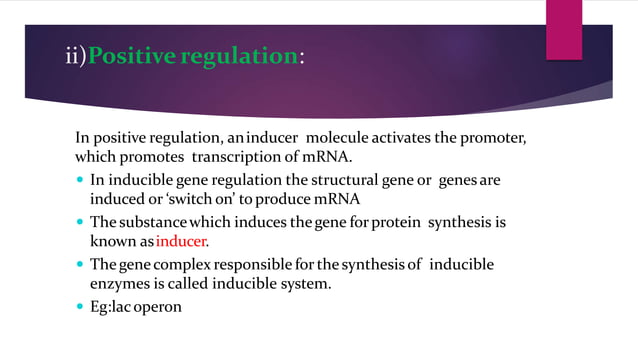 Gene regulation in prokaryotes | PPT