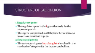 Gene regulation in prokaryotes | PPTX