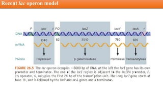 Gene regulation in Prokaryotes.pptx
