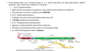 Gene regulation in Prokaryotes.pptx