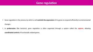 Gene Regulation in Prokaryotes (Exam point of view).pptx