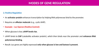Gene Regulation in Prokaryotes (Exam point of view).pptx