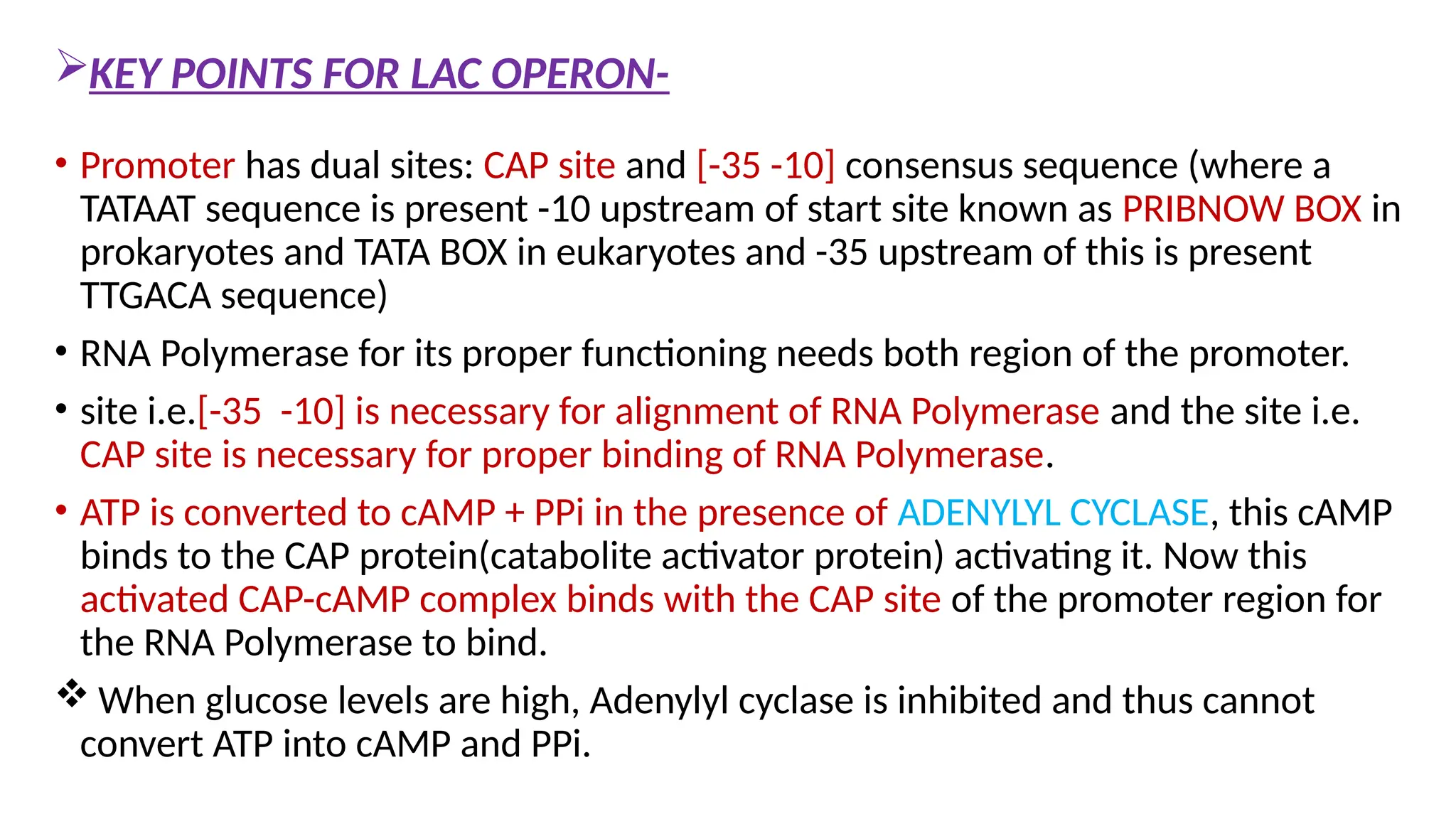 GENE REGULATION IN PROKARYOTES......pptx