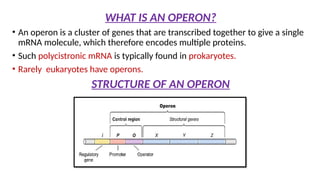 GENE REGULATION IN PROKARYOTES......pptx