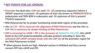 GENE REGULATION IN PROKARYOTES......pptx