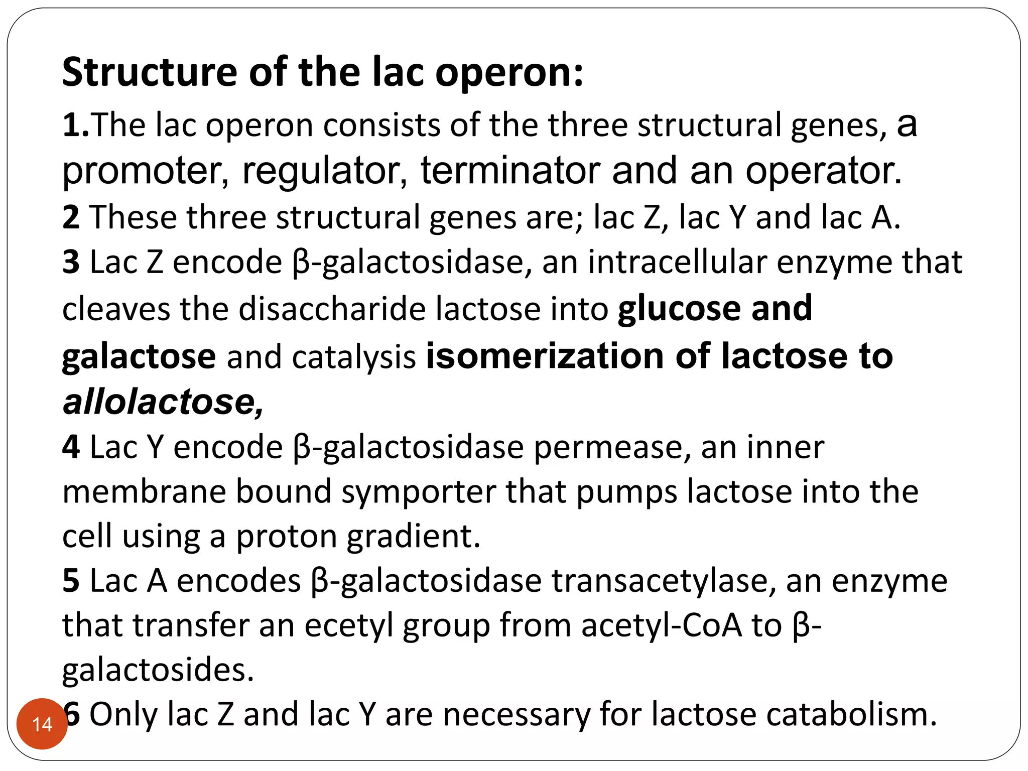 Gene regulation in prokaryotes | PPTX