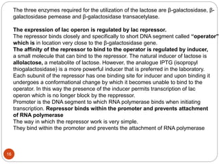 Gene regulation in prokaryotes | PPTX