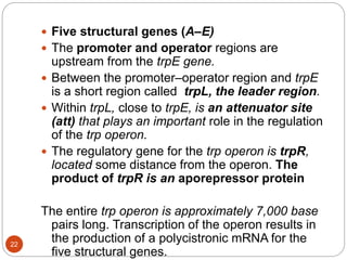 Gene regulation in prokaryotes | PPTX