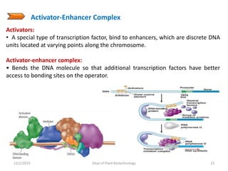 Gene rehulation in prokaryotes and eukaryotes | PPTX