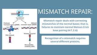 Gene repair_20241112_004638_0hffhh000.pptx
