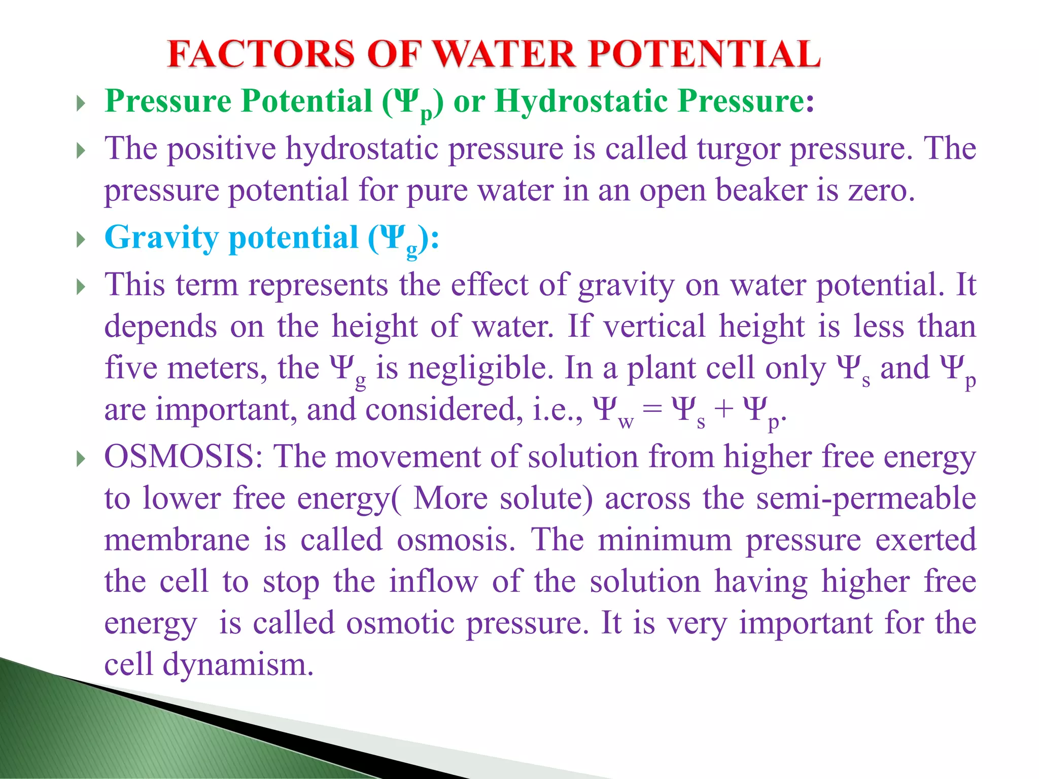 Plant Physiology-Water relations | PDF