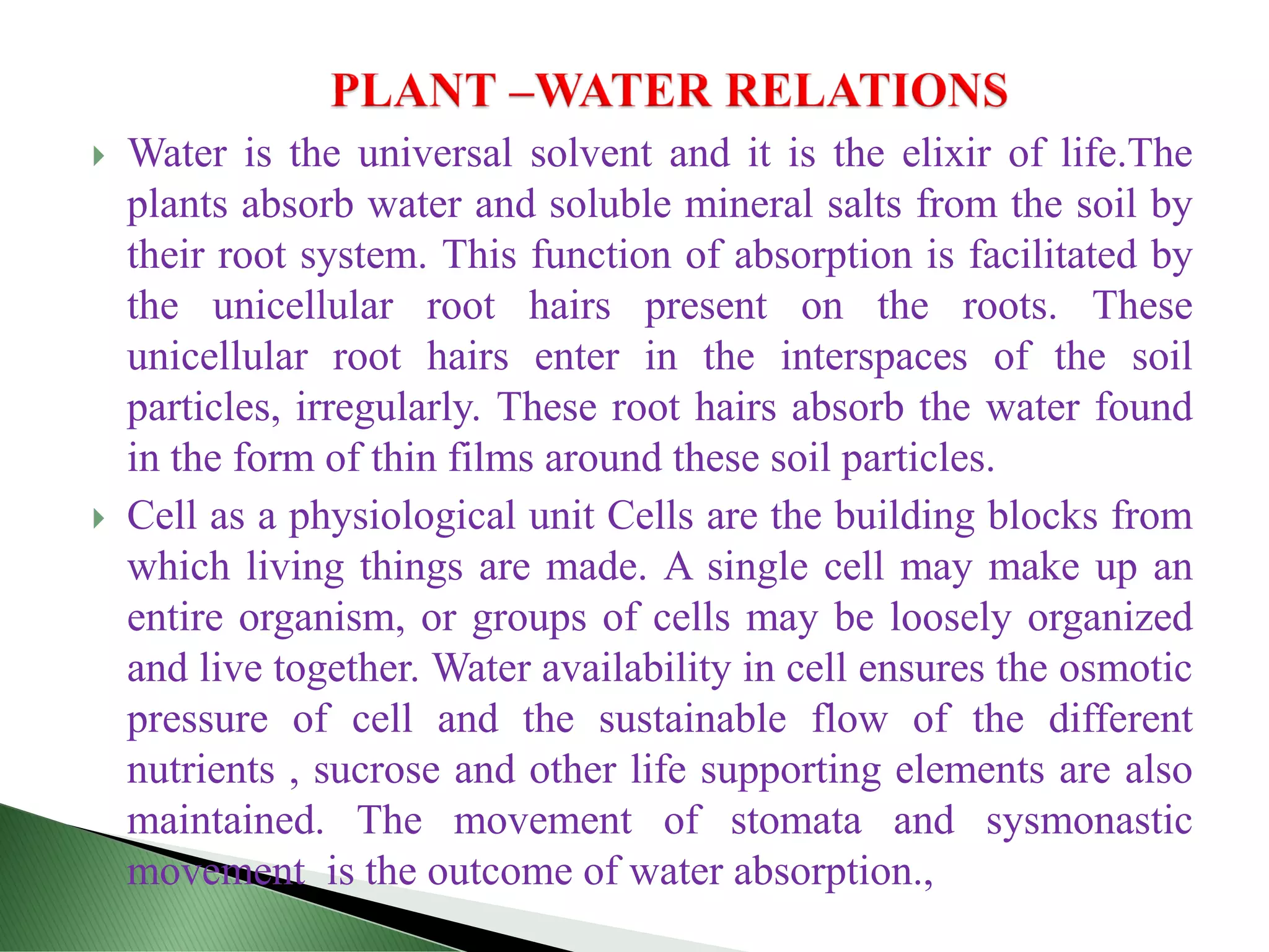 Plant Physiology-Water relations | PDF