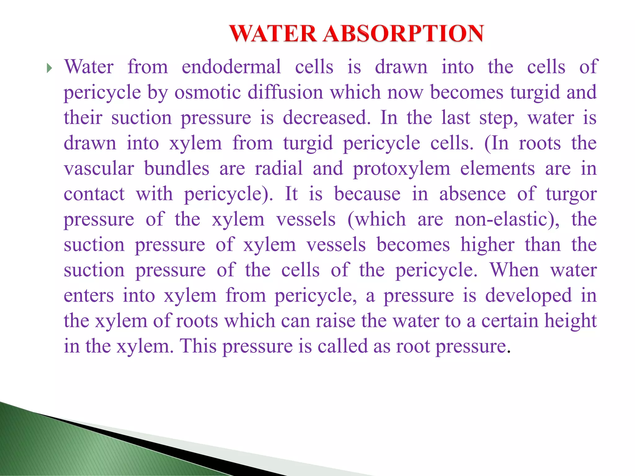 Plant Physiology-Water relations | PDF