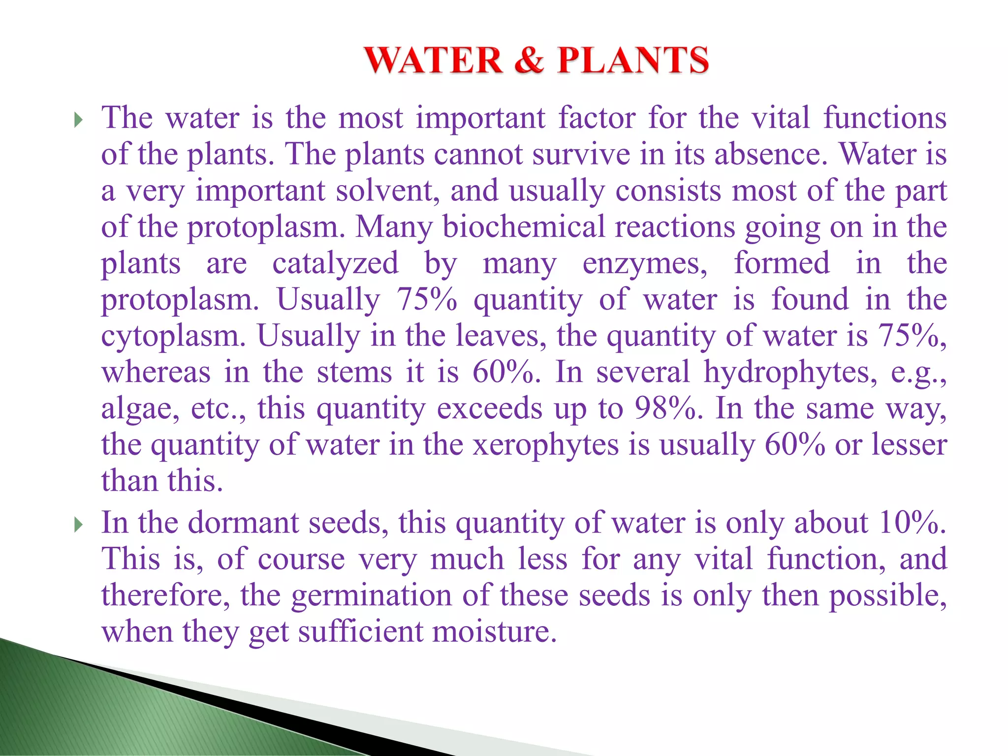 Plant Physiology-Water relations | PDF