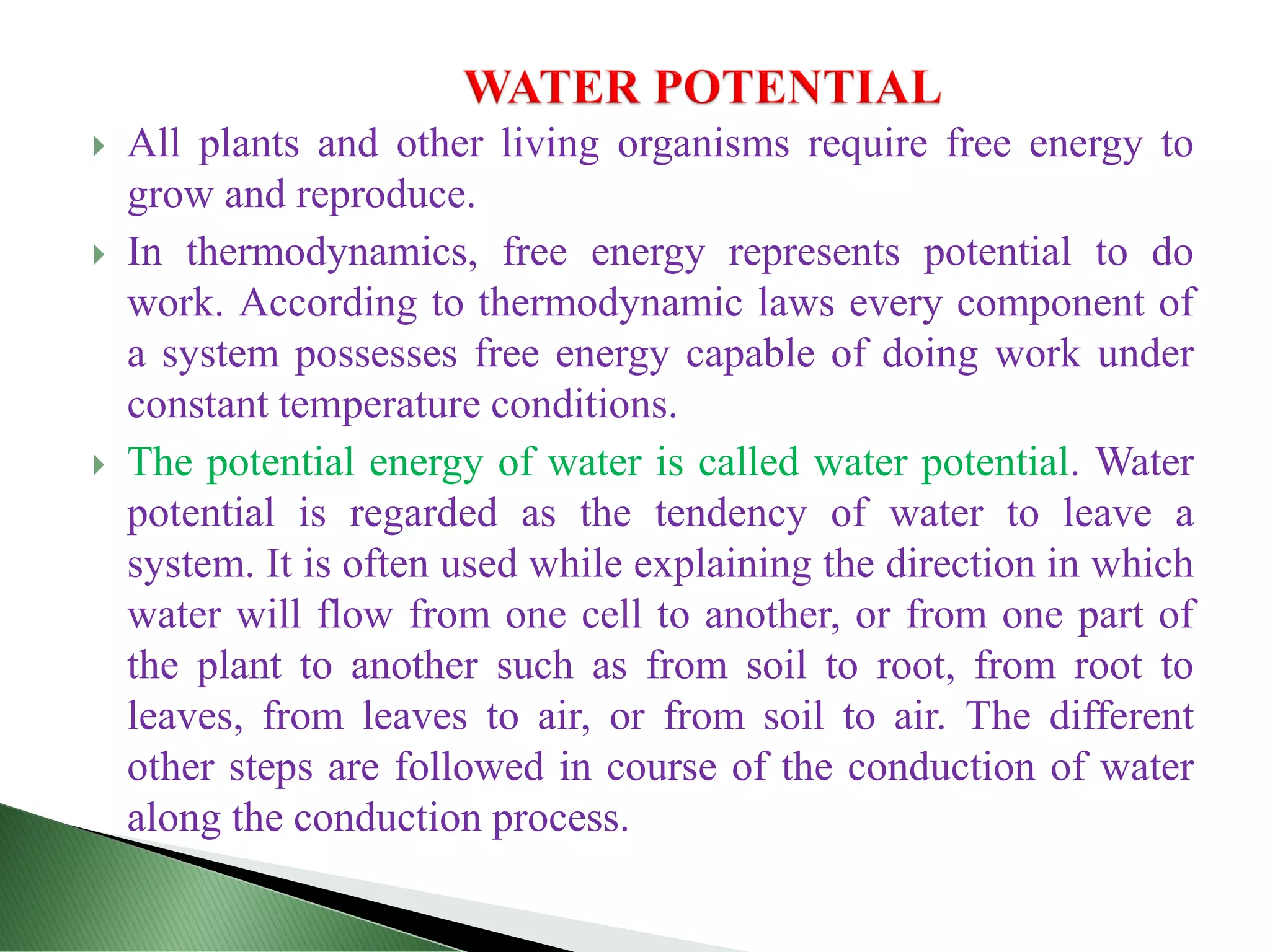 Plant Physiology-Water relations | PDF