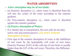 Plant Physiology-Water relations | PDF