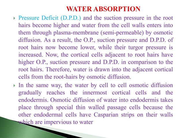Plant Physiology-Water relations | PDF