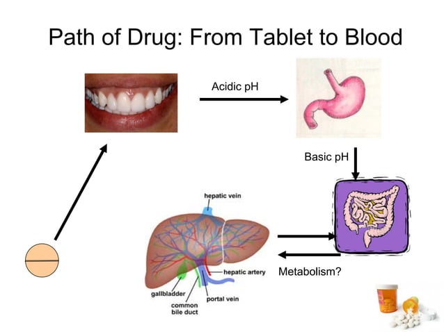 Generic-Drugs-and-Bioequivalence---Presentation(1)(1)(1).pdf