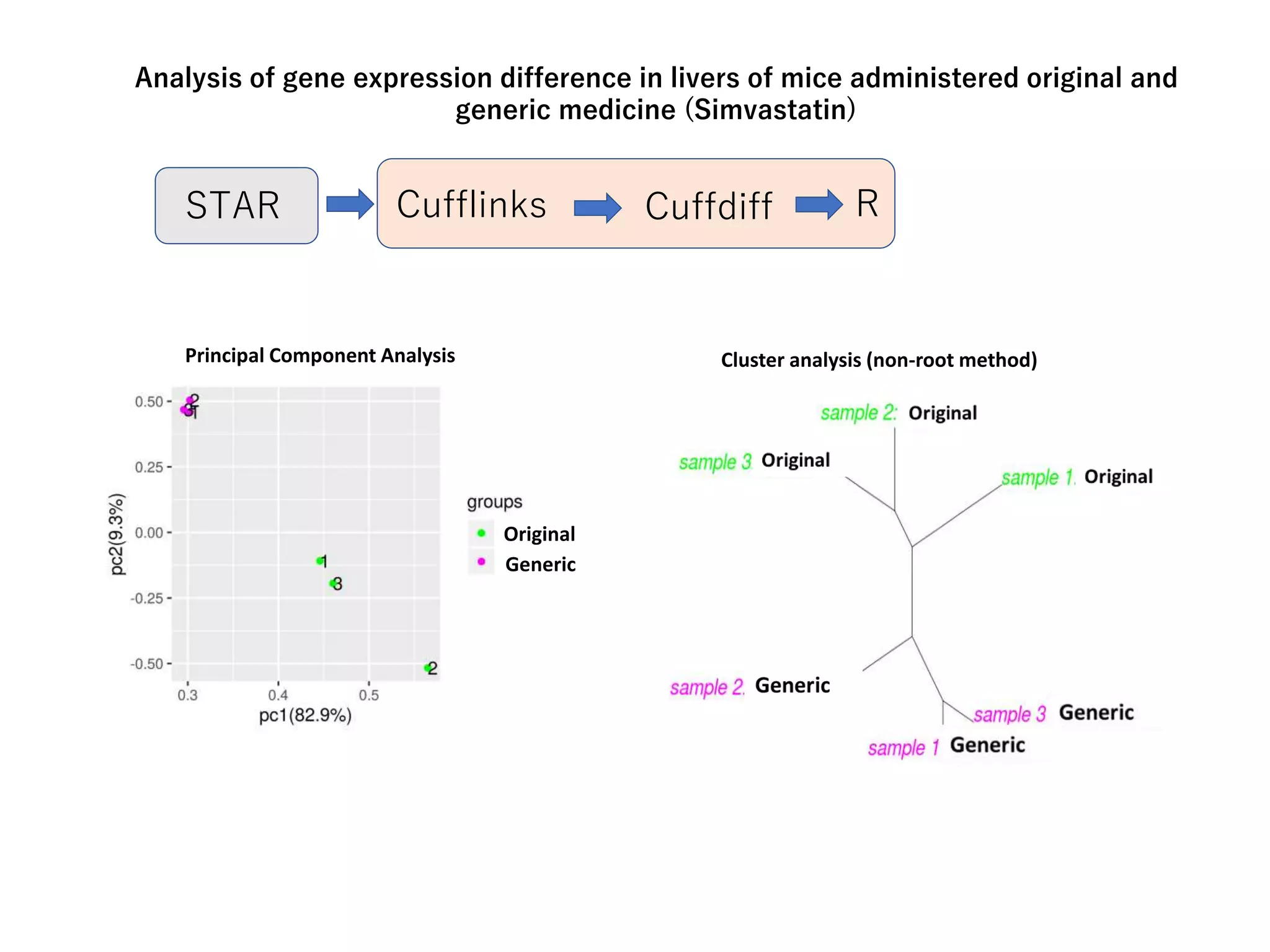 Original and Generic Medicine on Gene Expression | PPT