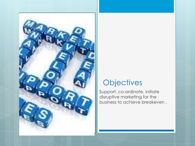 Generic marketing plan 2013 | PPTX