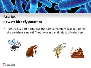 Workplace Infection Control - Information to support your learning | PPTX