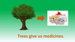 TT6 Unit 3 Generous trees vocabulary | PPTX