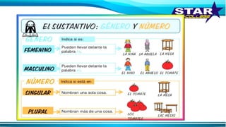 Genero y numero del sustantivo | PPTX