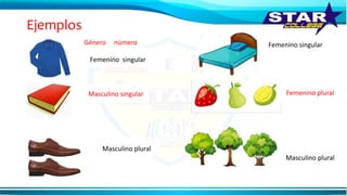 Genero y numero del sustantivo | PPTX