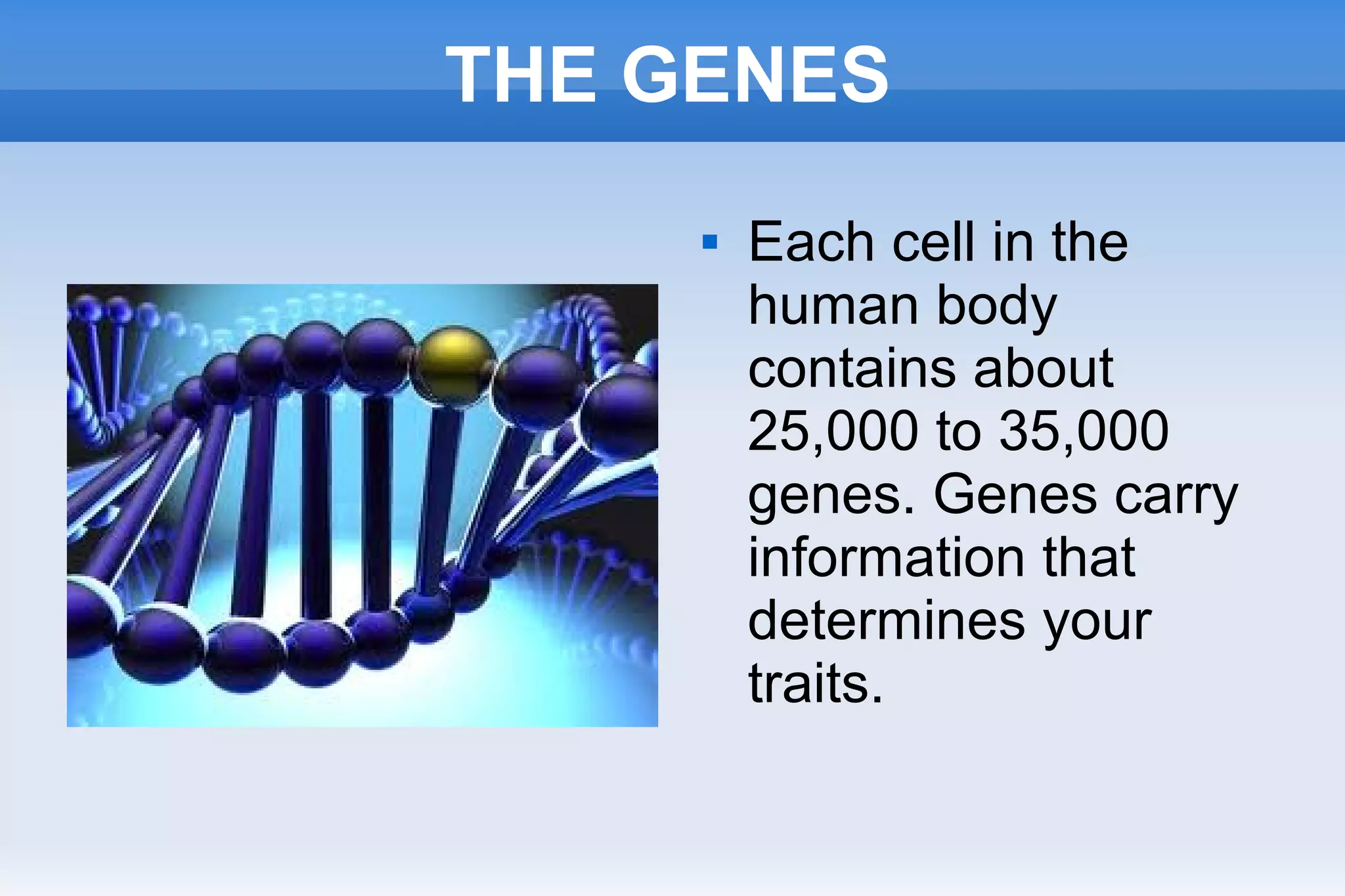 Genes | PPT