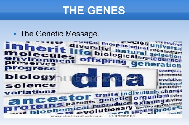 Genes | PPT