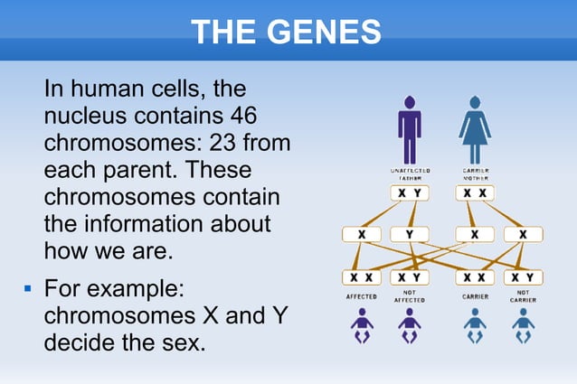 Genes | PPT