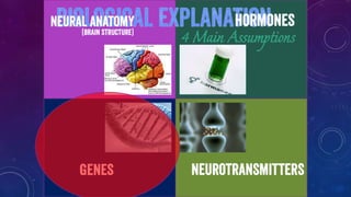 Genetic explanation of aggression | PPT