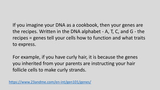 Genes | PDF