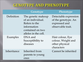 Genes | PPT