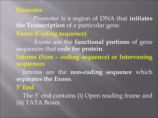 Genes | PPT