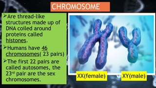 GENES-SCIENCE 10 POWERPOINT PRESENTATION | PPTX