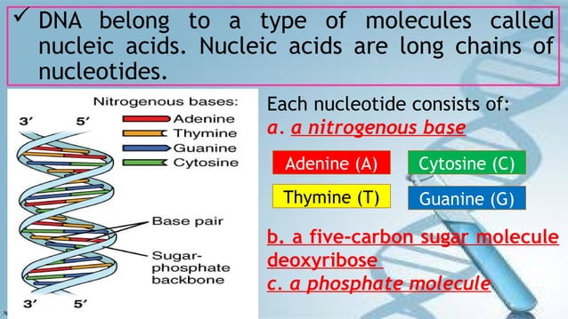 GENES-SCIENCE 10 POWERPOINT PRESENTATION | PPTX