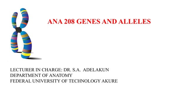 GENES AND ALLELES biology document presentation.pptx