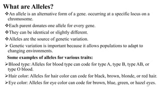 GENES AND ALLELES biology document presentation.pptx